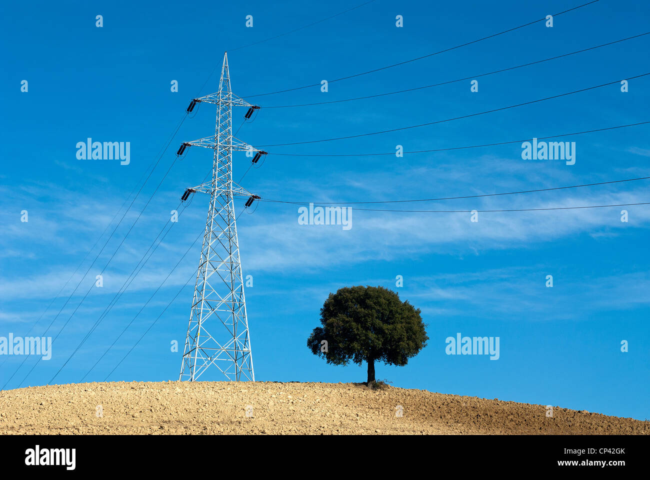 Electricity pylon and tree in cultivated field. Umbria, Italy Stock ...