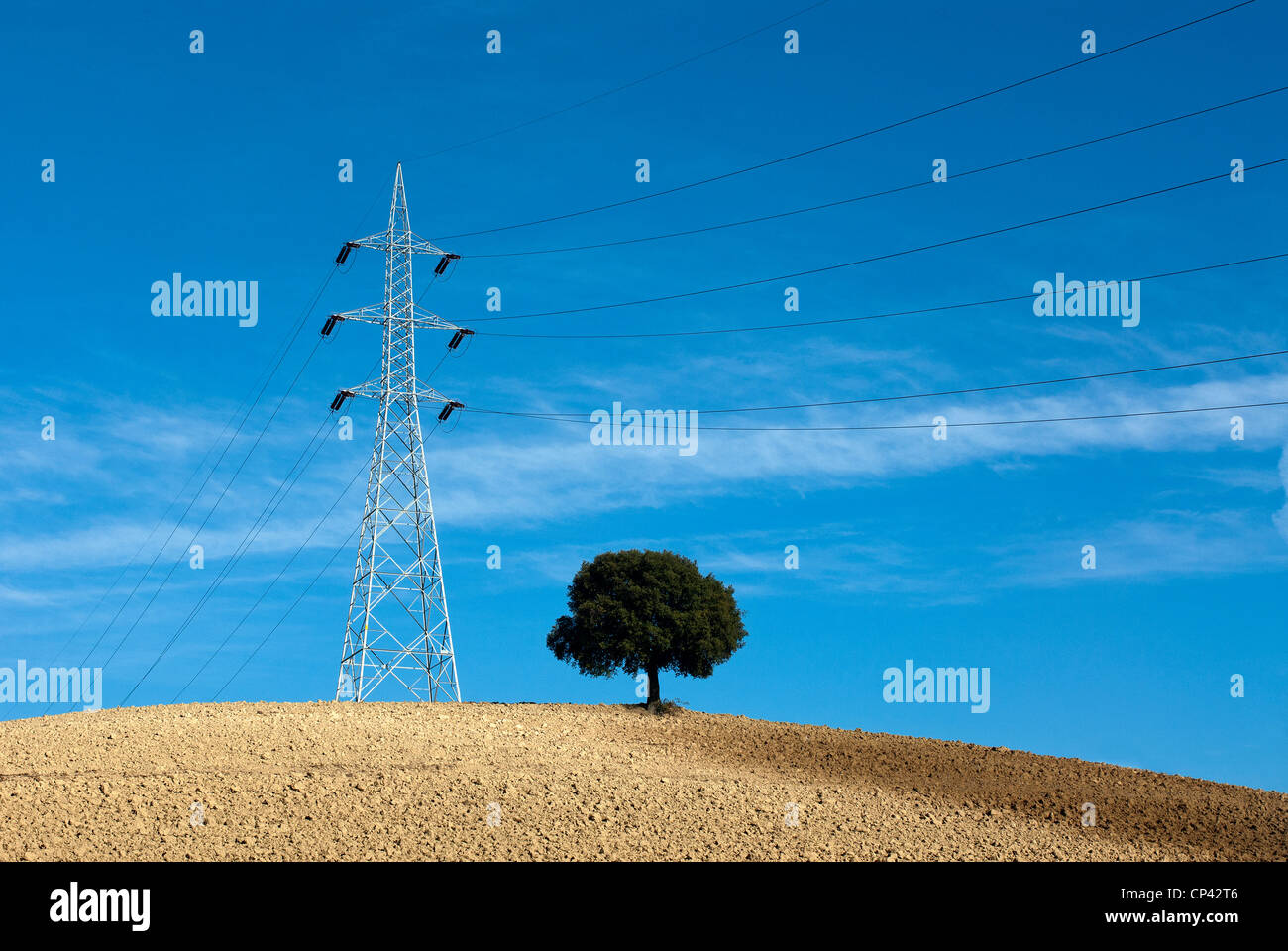 Electricity pylon and tree in cultivated field. Umbria. Italy Stock ...