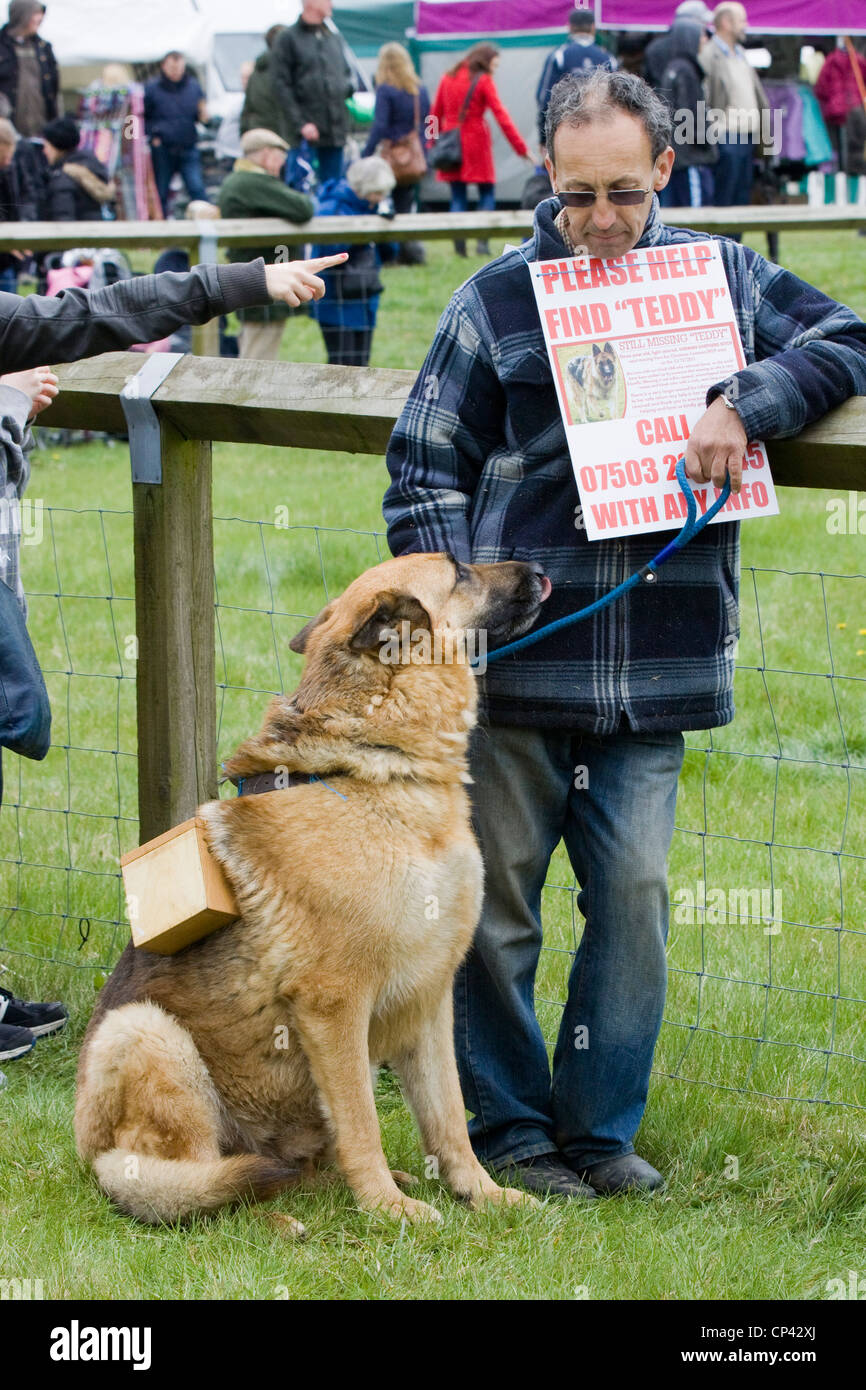 Dog detectives hi-res stock photography and images - Alamy