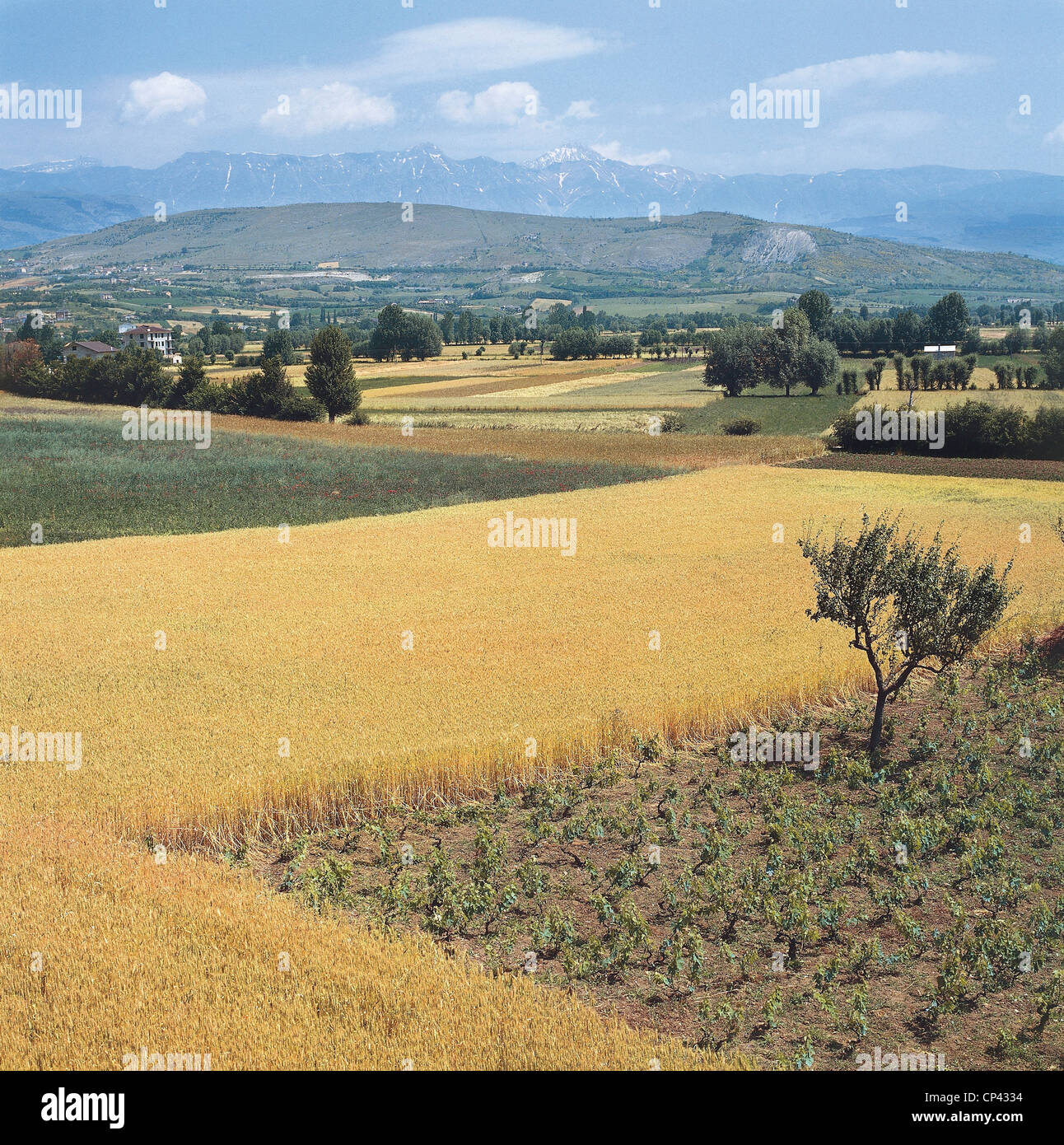 Abruzzo - L'Aquila Around - Agricultural Landscape Stock Photo - Alamy