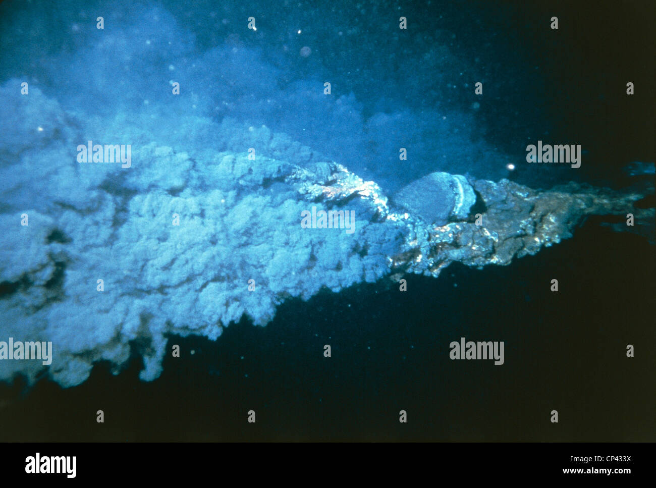 Ecuador - Galapagos Islands - Ocean Floor Stock Photo - Alamy