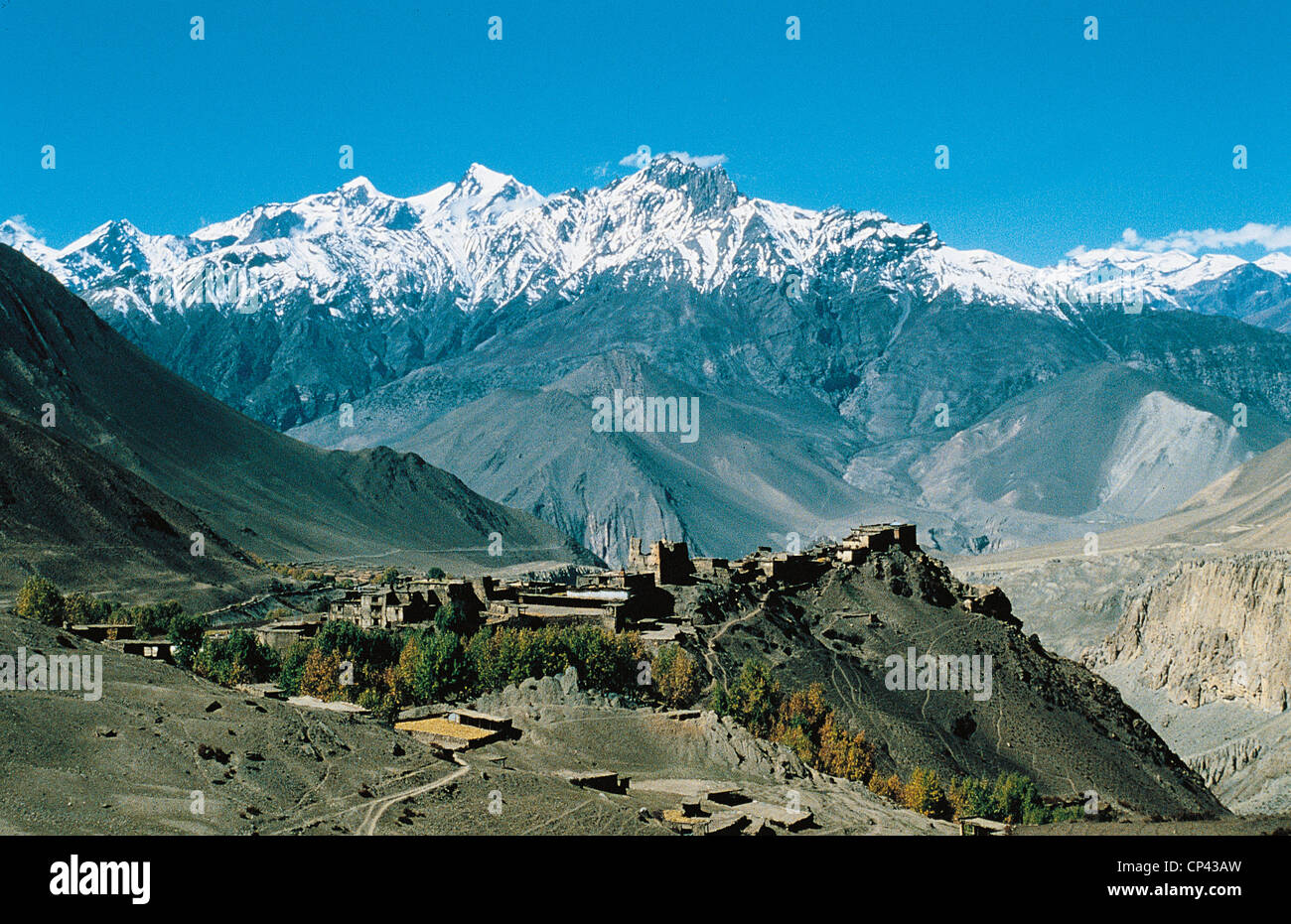 Nepal - Himalayas. The village of Jharkot Stock Photo - Alamy