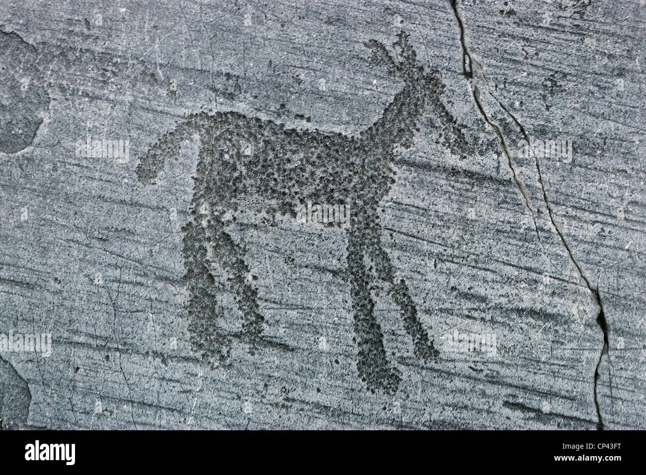 Lombardia - Valcamonica - National Park of Rock Engravings (Bs). Detail: elk Stock Photo - Alamy