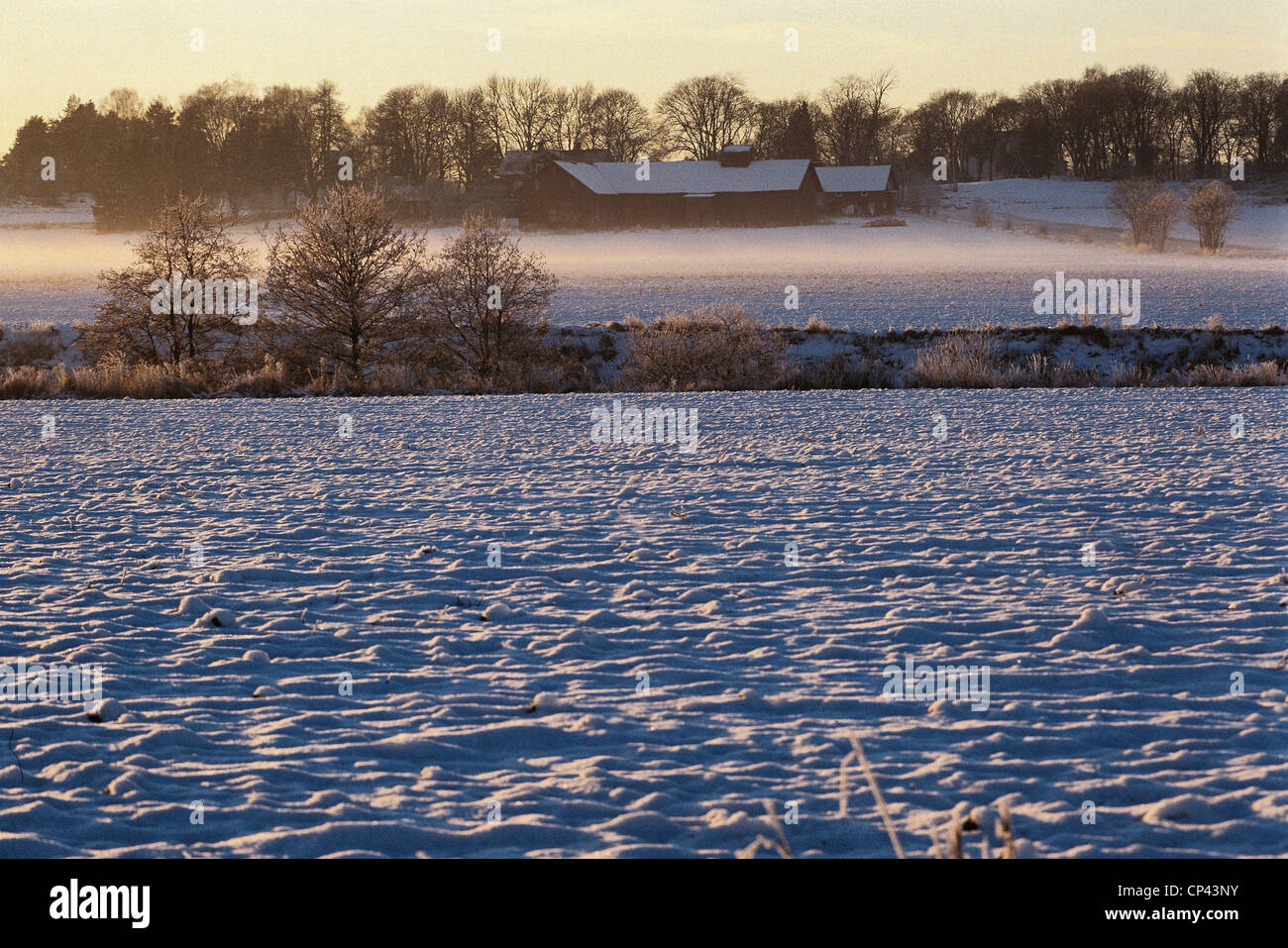 Uppsala contea hi-res stock photography and images - Alamy
