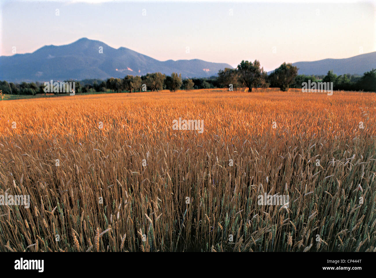 Castel di sasso hi-res stock photography and images - Alamy