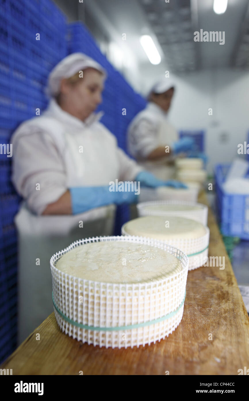 Wrapping cheese in factory hi-res stock photography and images - Alamy
