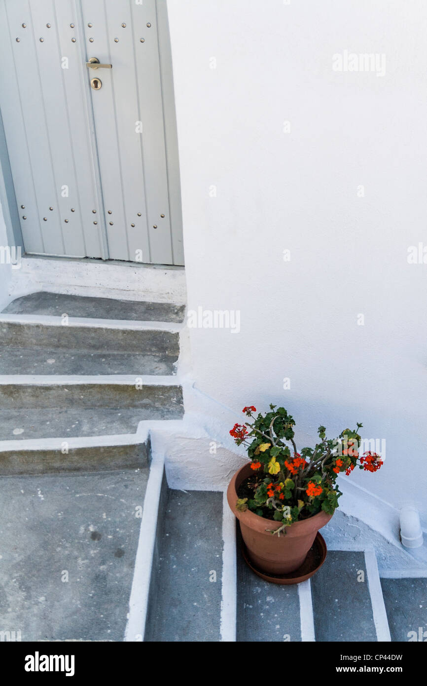 plant pot on steps Stock Photo - Alamy