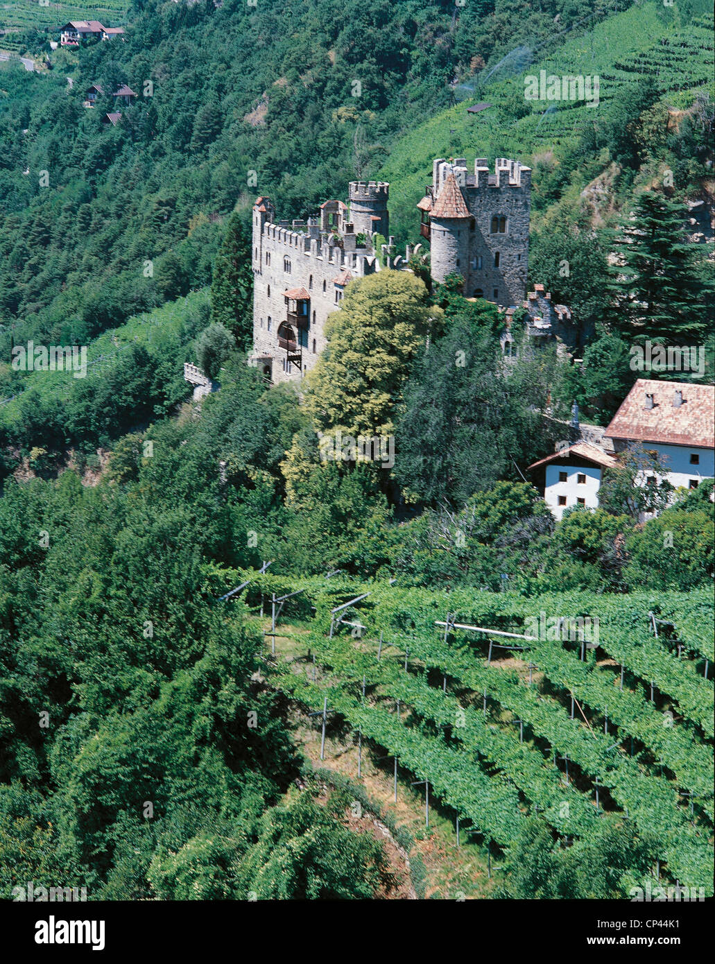 TYROL Meran area VINEYARDS Stock Photo - Alamy