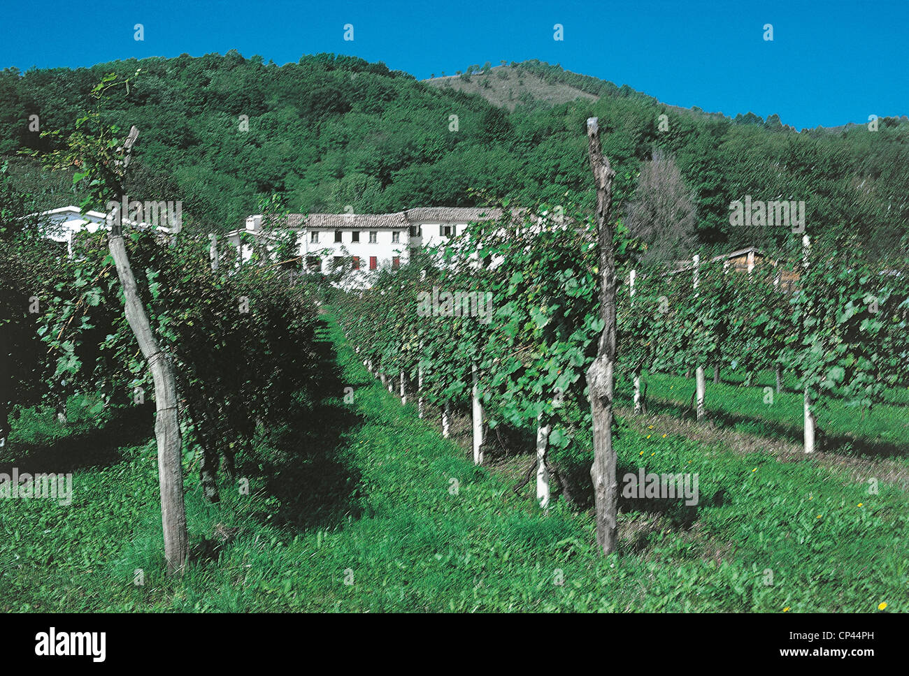 Montello italy hi-res stock photography and images - Alamy