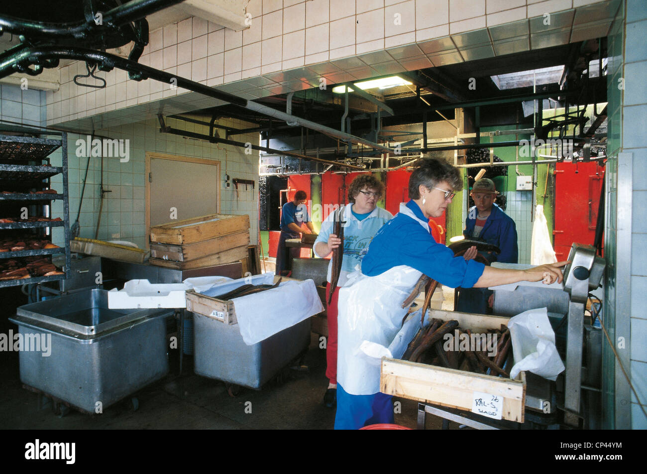 Sweden - Kaseberga - Processing of smoked fish Stock Photo - Alamy