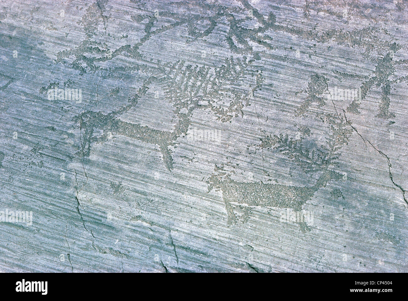 Lombardy Valcamonica National Park Deer Rock Engravings Stock Photo - Alamy