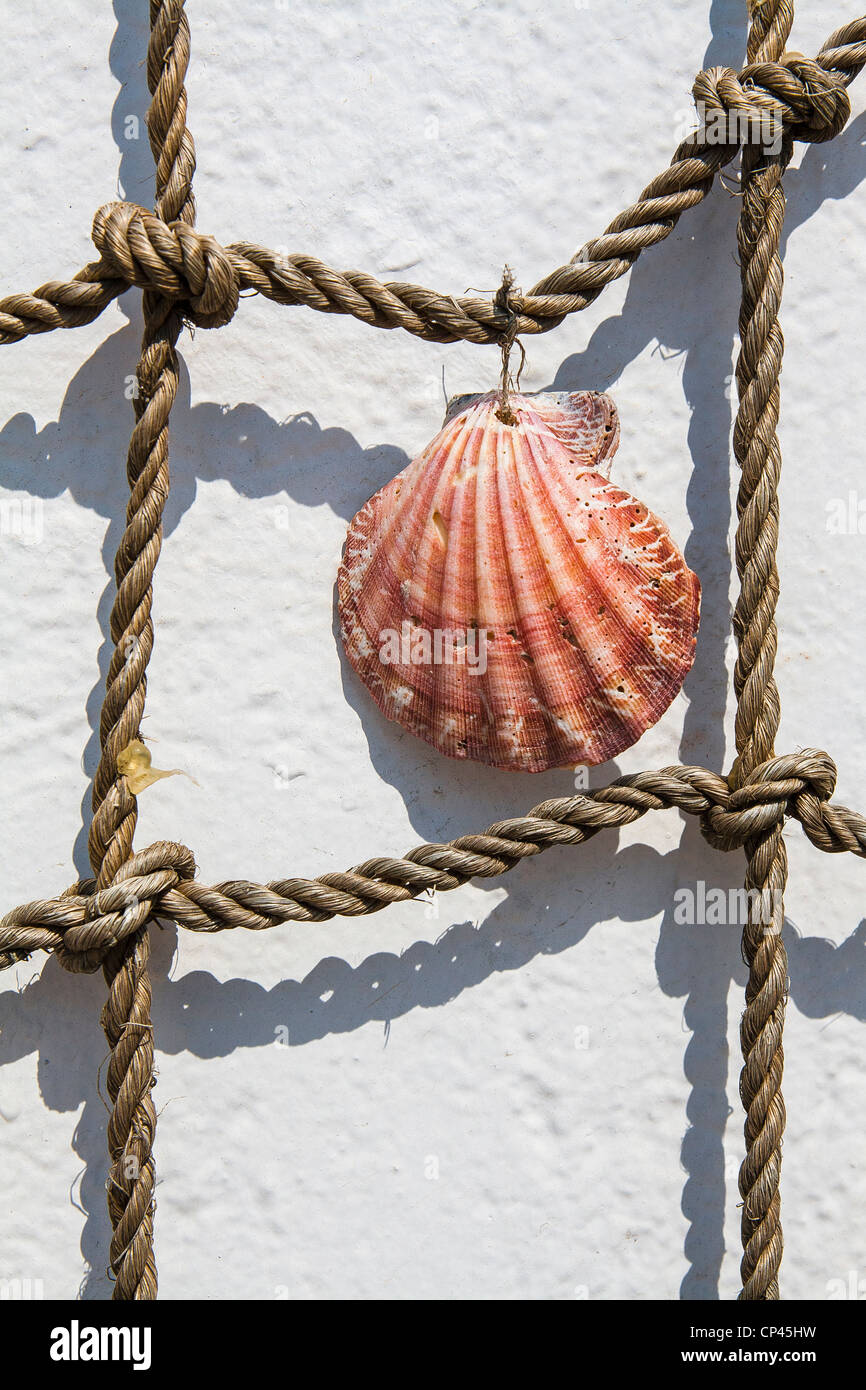 shell hanging on rope against white wall Stock Photo - Alamy