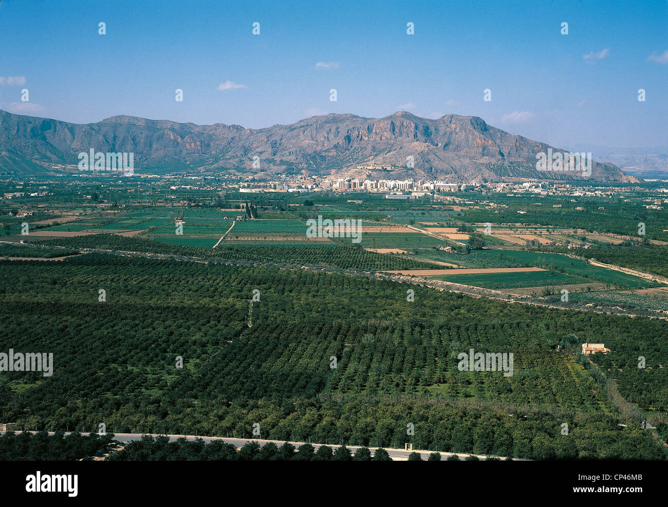 Spain Valencia Alicante Citrus Stock Photo - Alamy