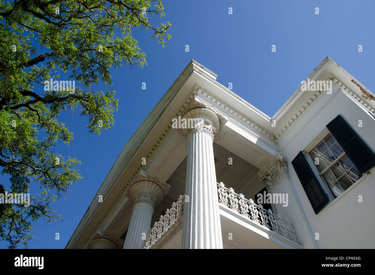 Stanton hall hi-res stock photography and images - Alamy