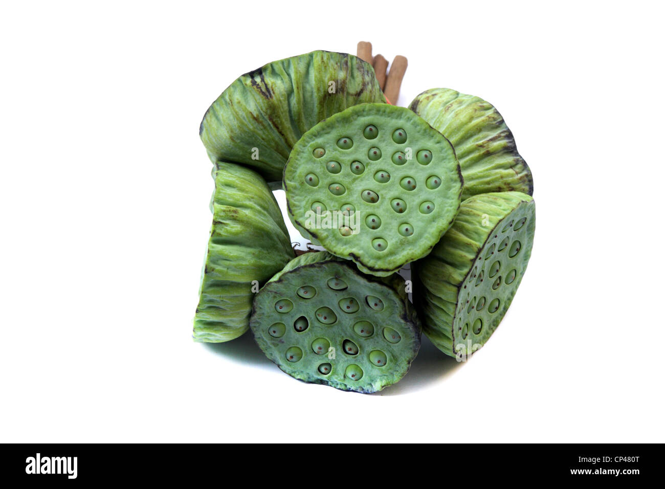 Lotus seed head hi-res stock photography and images - Alamy