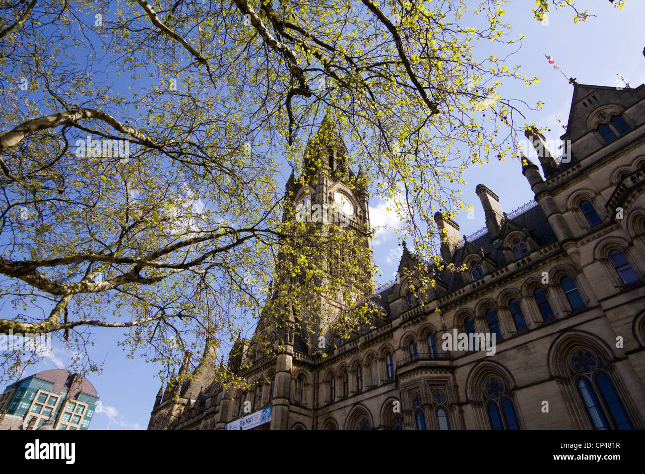 albert square town hall manchester city england Stock Photo - Alamy