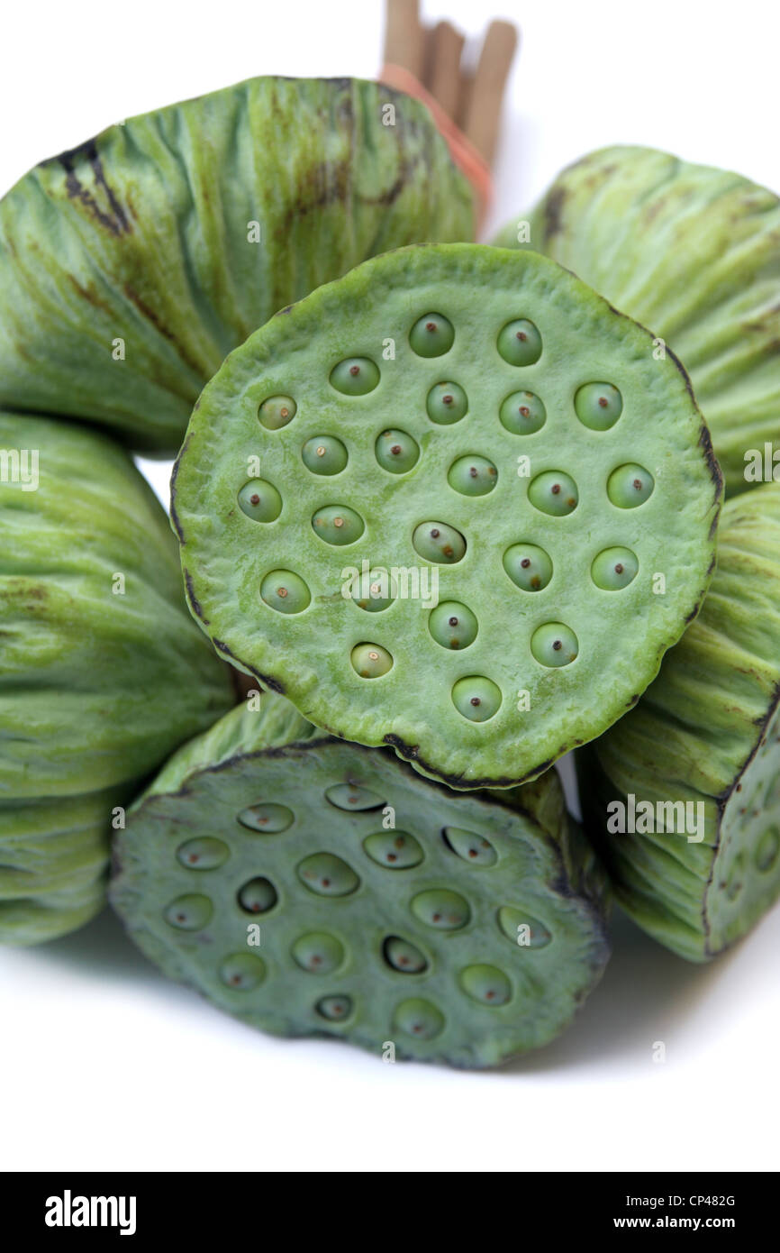 Lotus seed head Stock Photo - Alamy