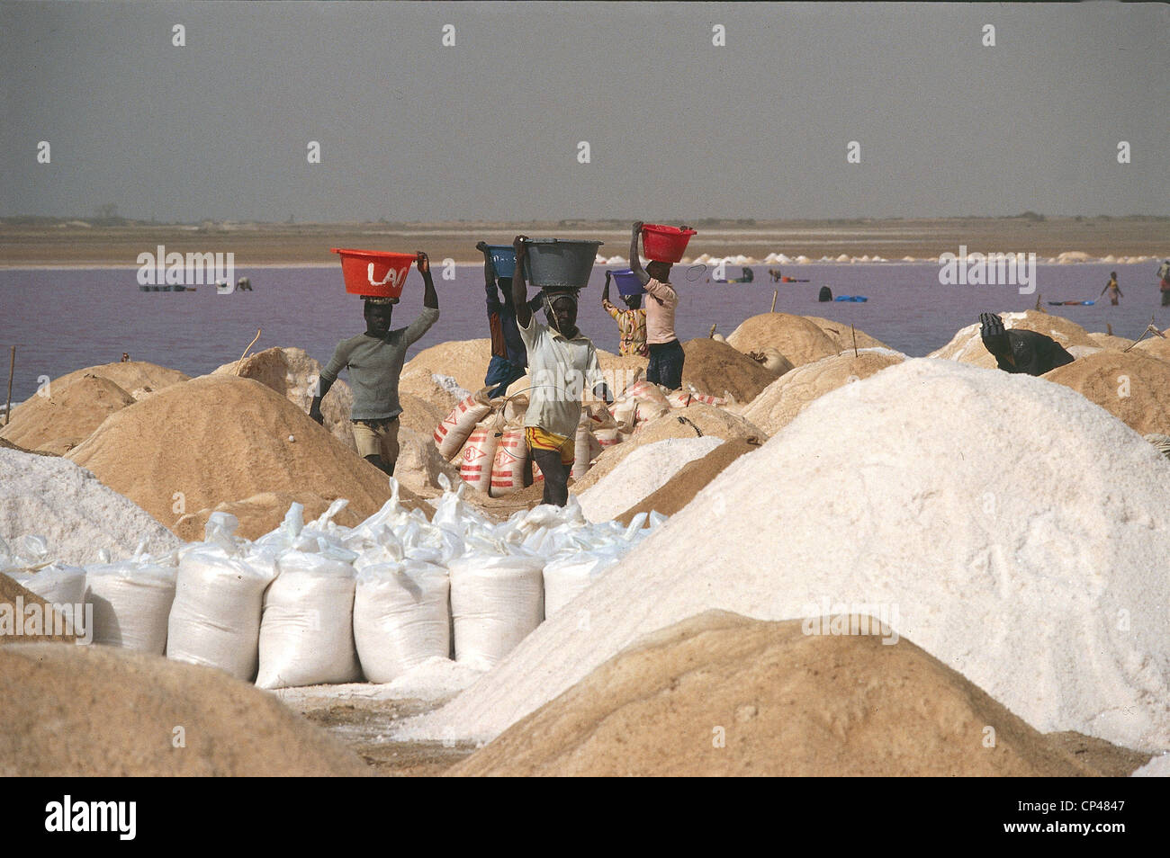 Senegal - Pink Lake, the salt harvest Stock Photo - Alamy