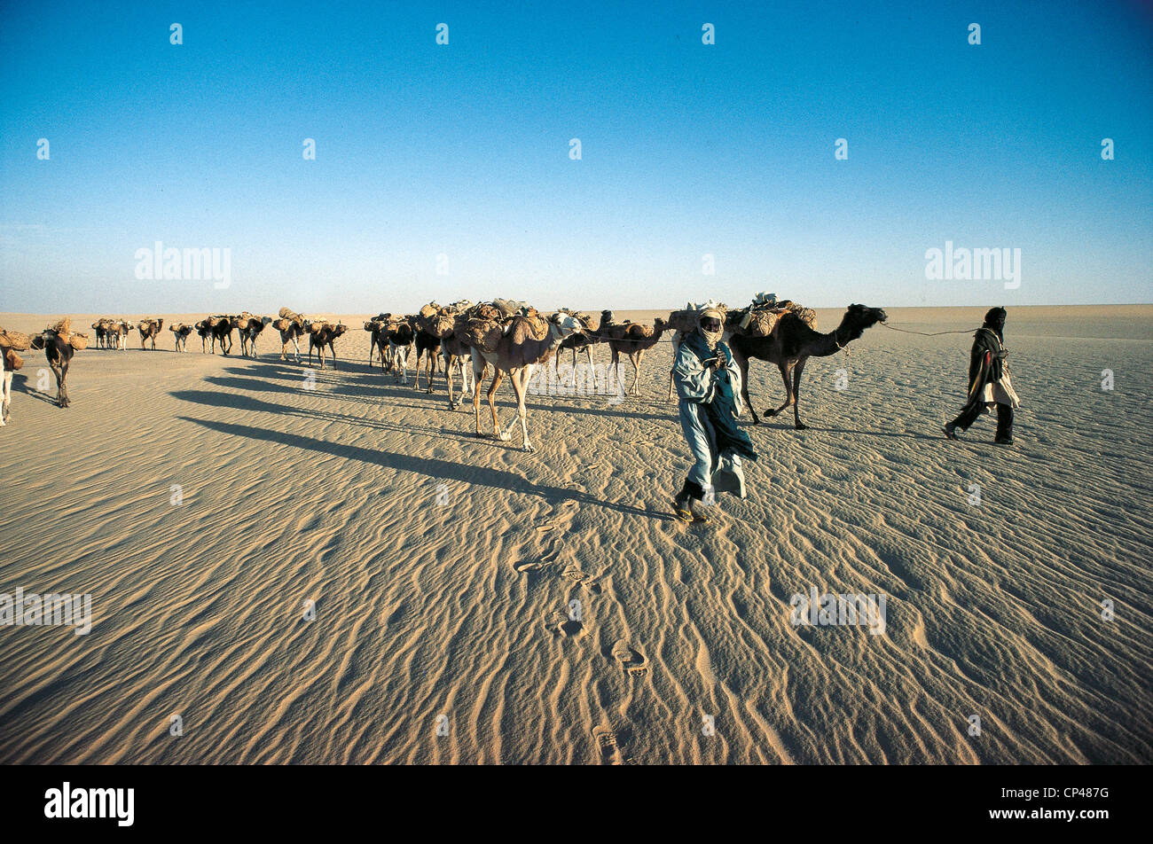 Sahara desert salt niger hi-res stock photography and images - Alamy