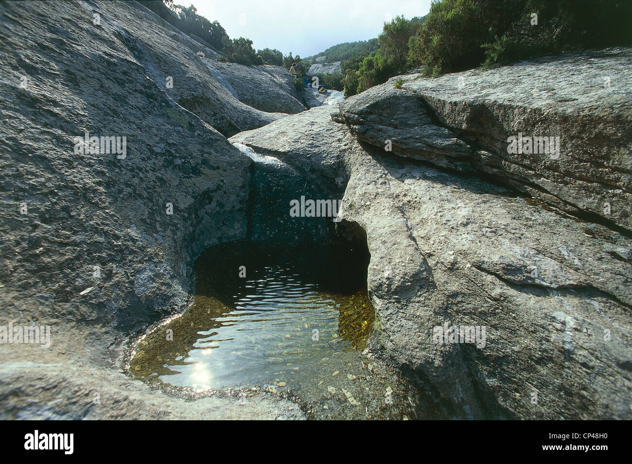 Tuscany Tuscan Archipelago National Park Island of Monte Cristo (Li ...