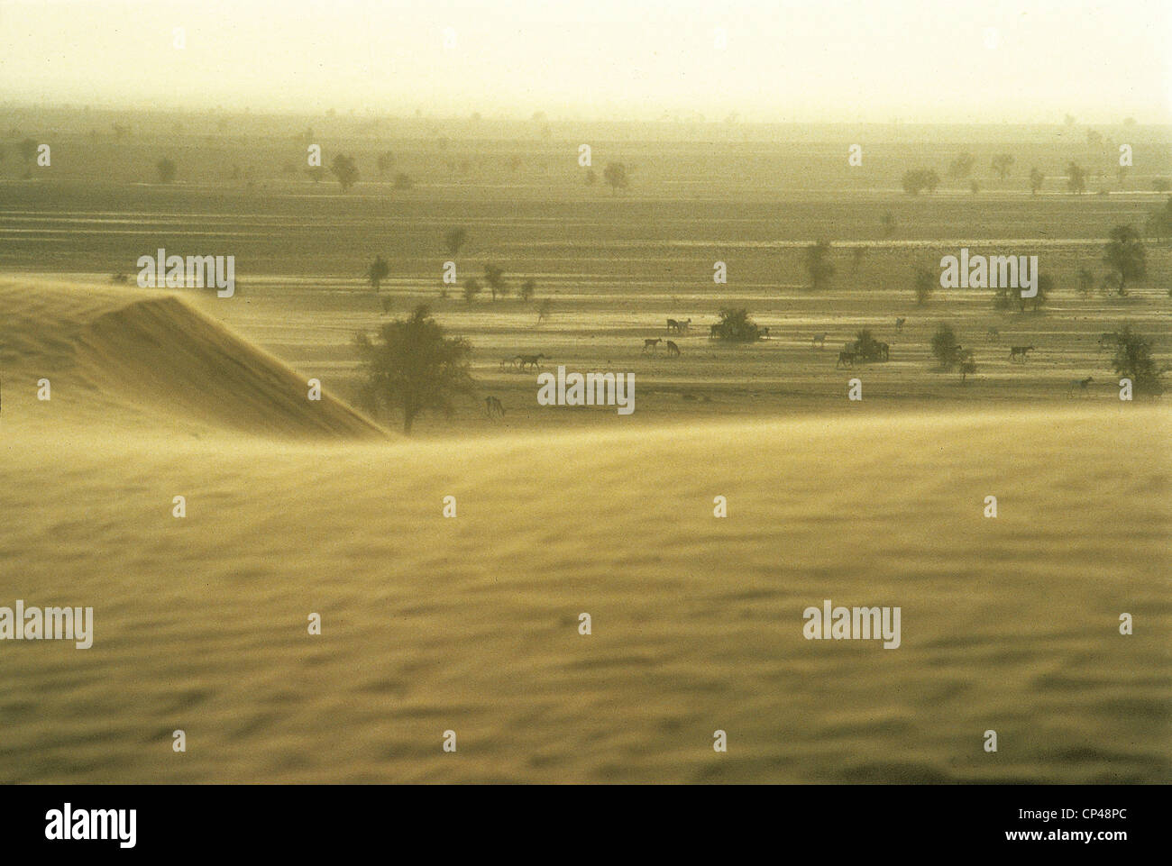 Plains geography hi-res stock photography and images - Alamy