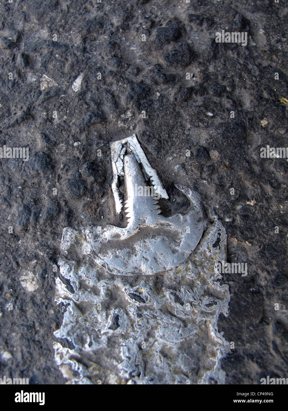 one old damaged glue tube metal steel crush crushed nozzle tip damage ...