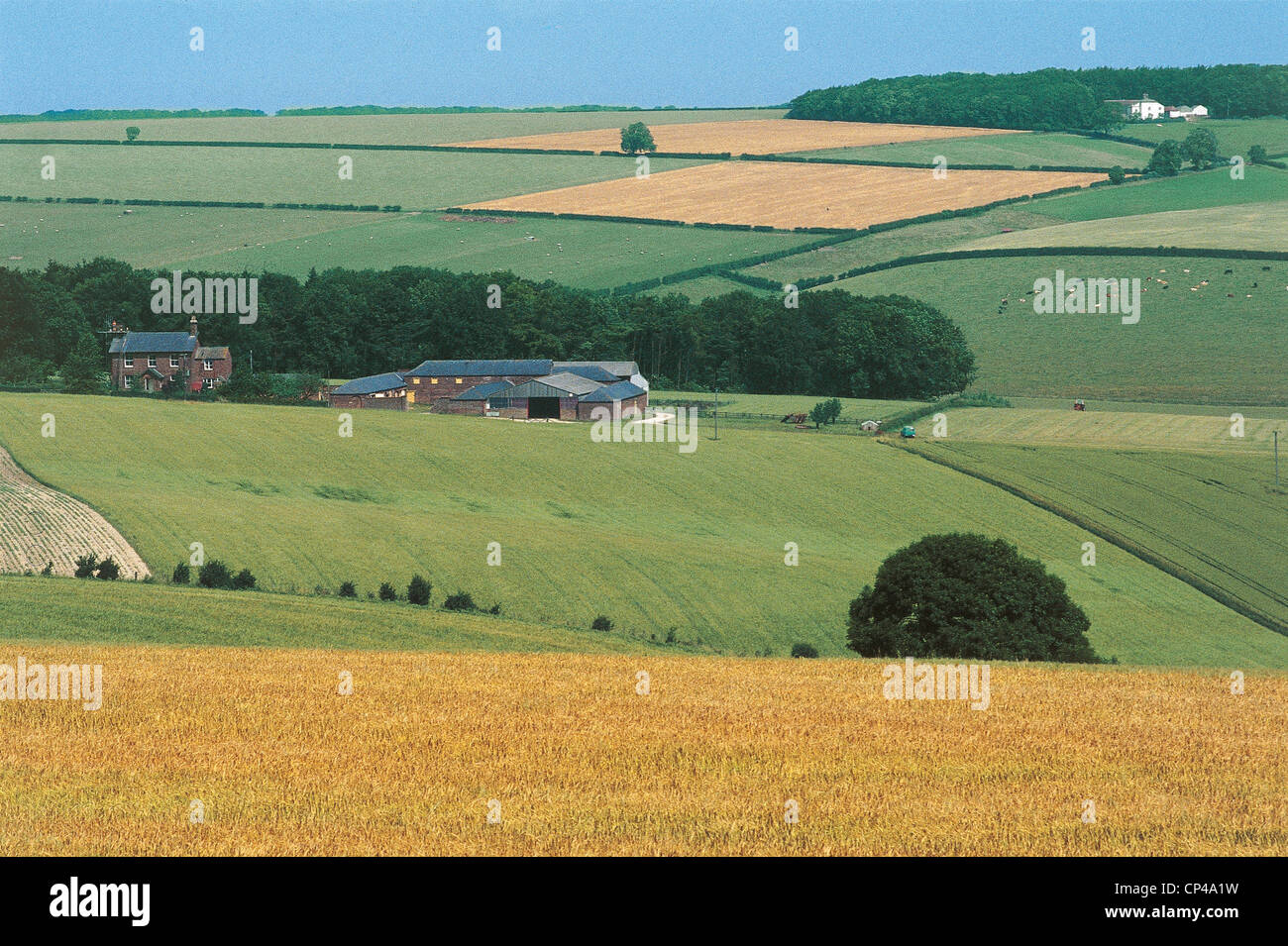 Great driffield hi-res stock photography and images - Alamy