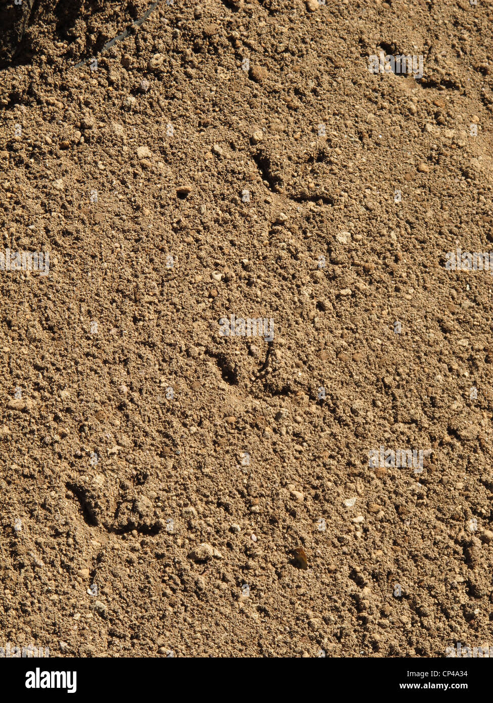 bird's feet foot prints in soil earth Stock Photo - Alamy