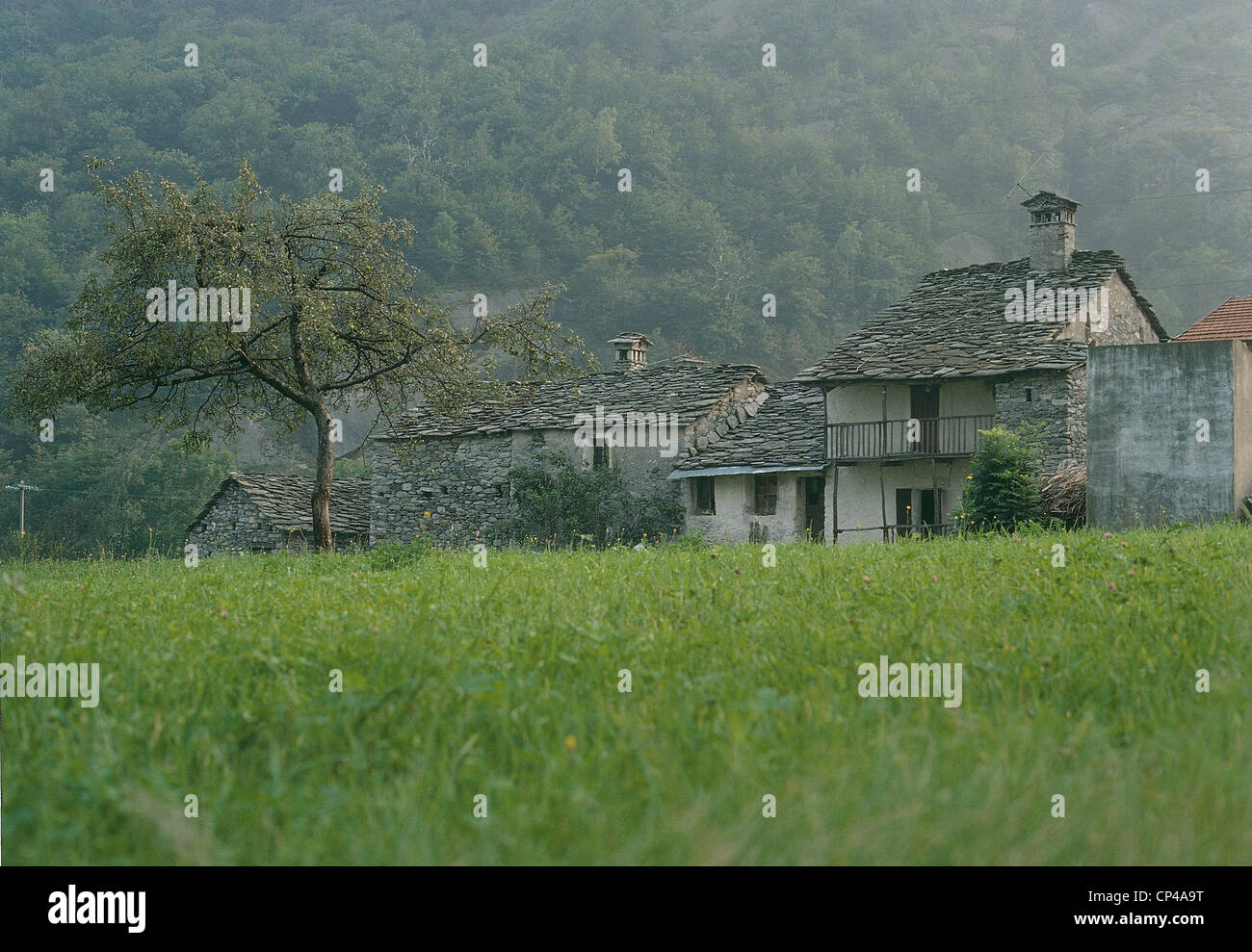 PIEDMONT PNGRAN PARADISE VALLEY Locana CANOPY Stock Photo - Alamy