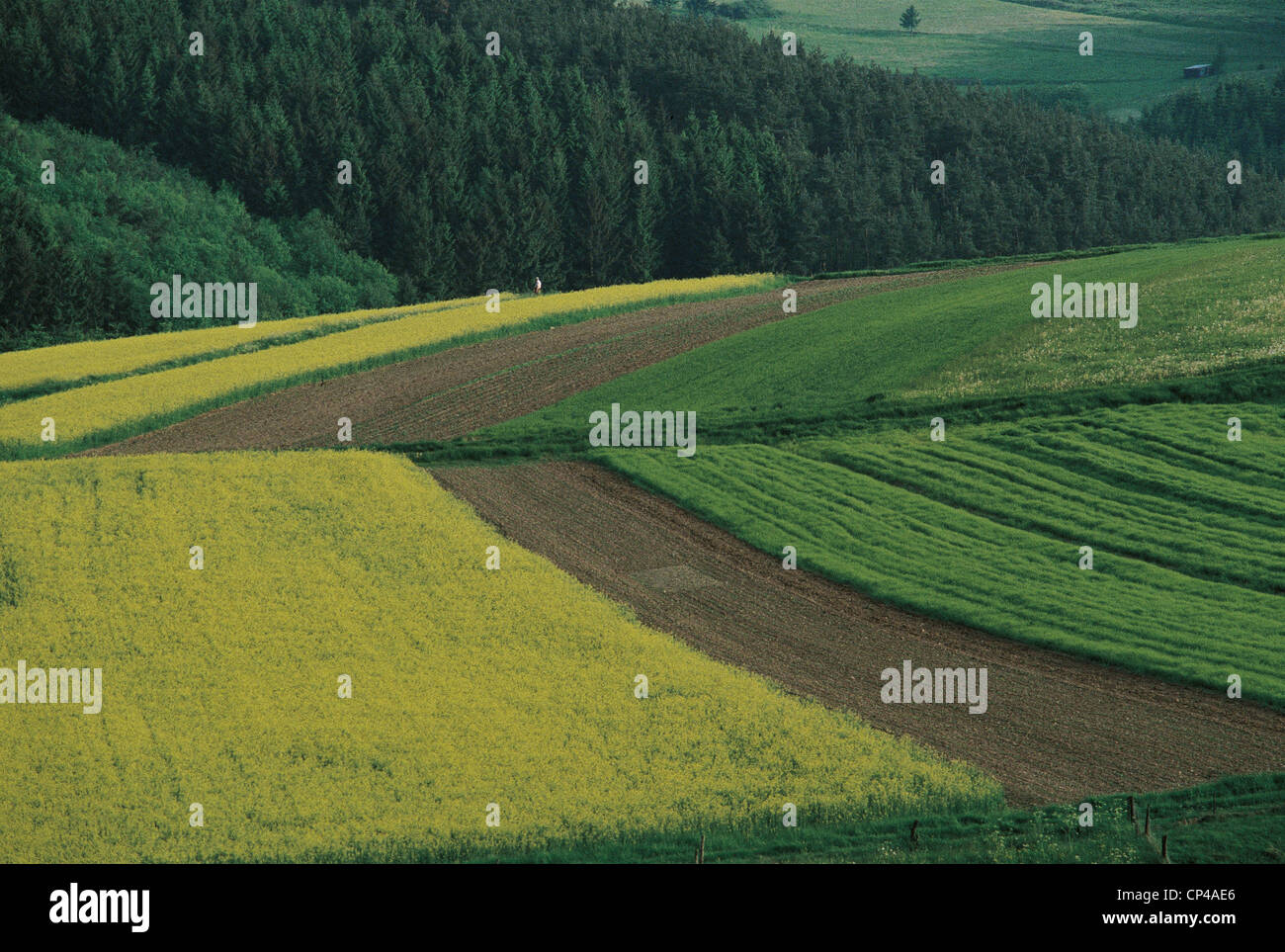 Eifel region hi-res stock photography and images - Alamy
