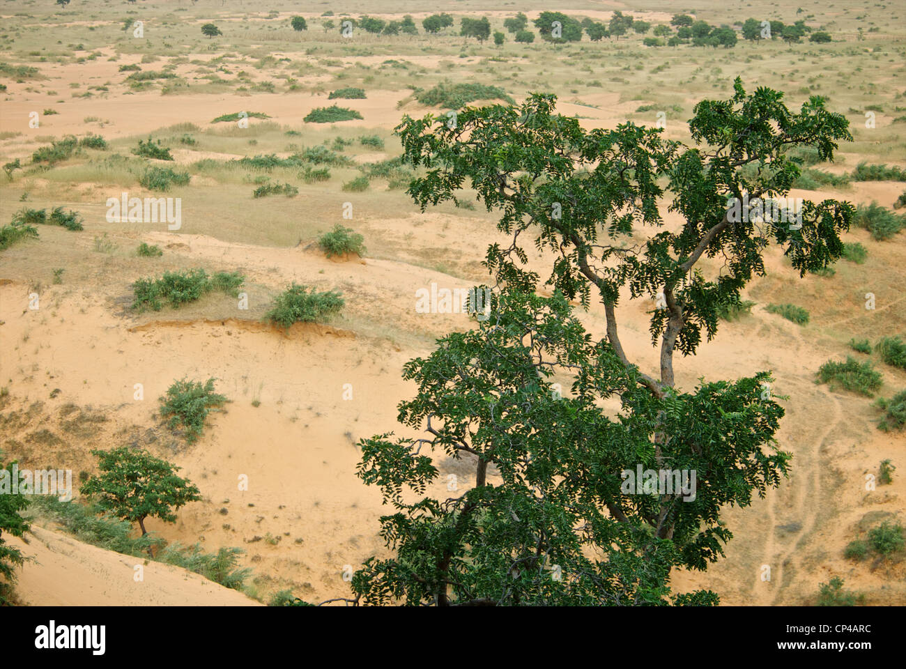 A landscape in Dogon County, Mali Stock Photo - Alamy