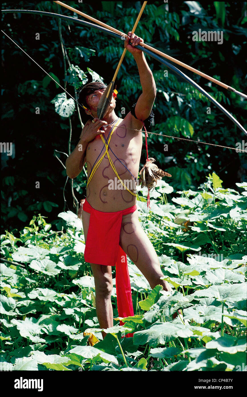VENEZUELA AMAZON TRIBE Yanomani young Indian 'MAJECODOTORI Stock Photo ...
