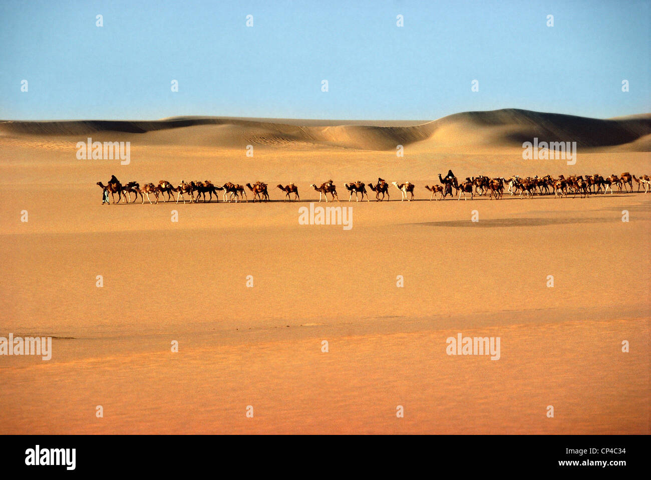 Niger - Caravan of salt in the desert of Tenere Stock Photo - Alamy