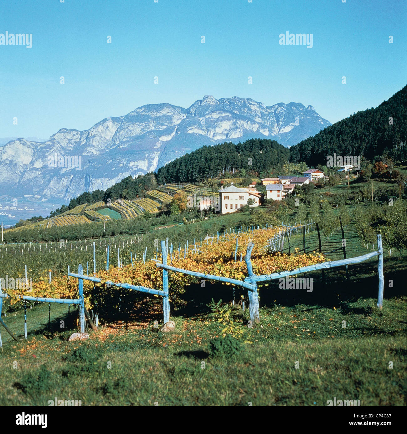 Lavis hi-res stock photography and images - Alamy