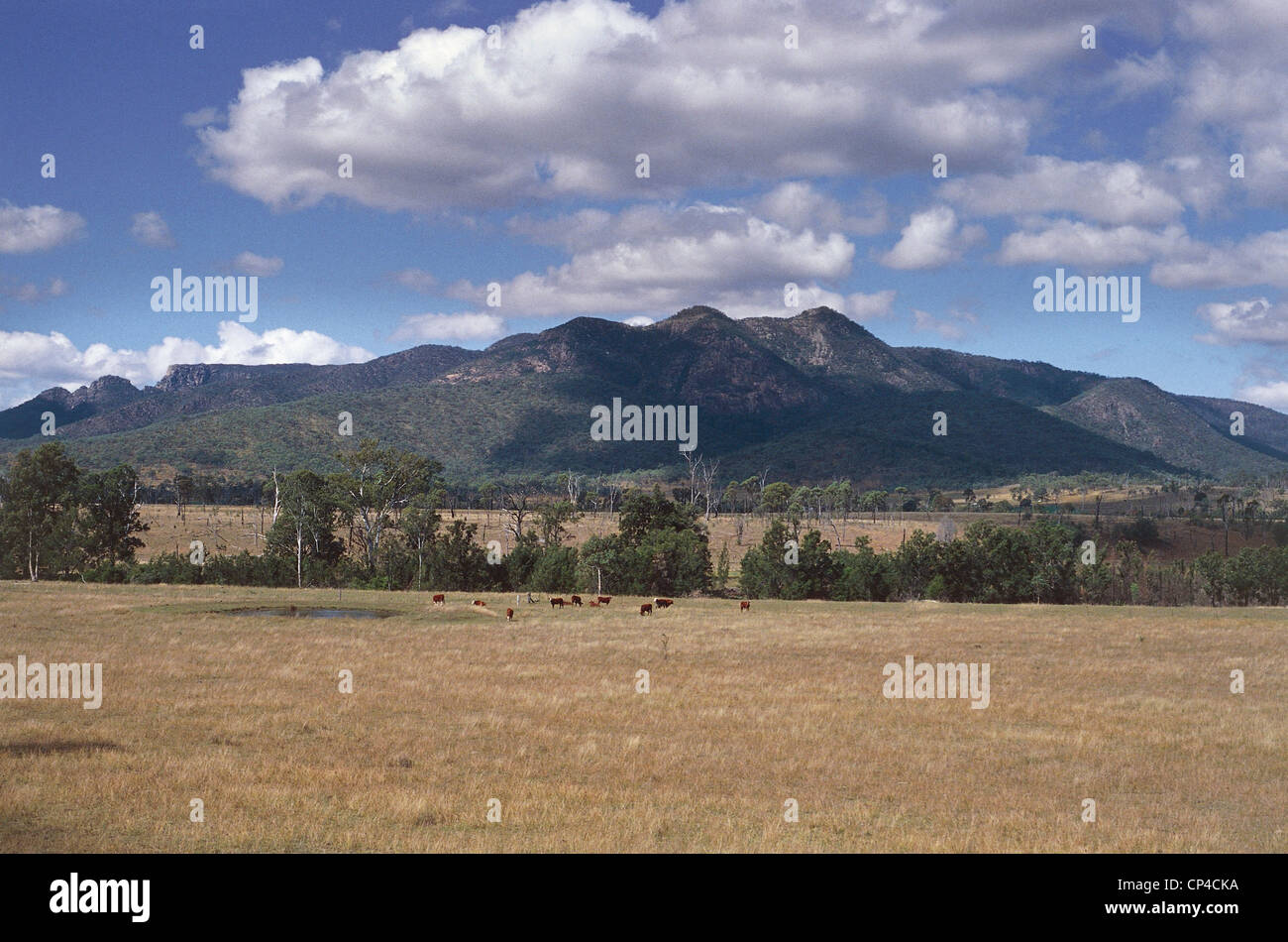 Australia - Queensland - Mount Walsh Dividing Range Stock Photo - Alamy