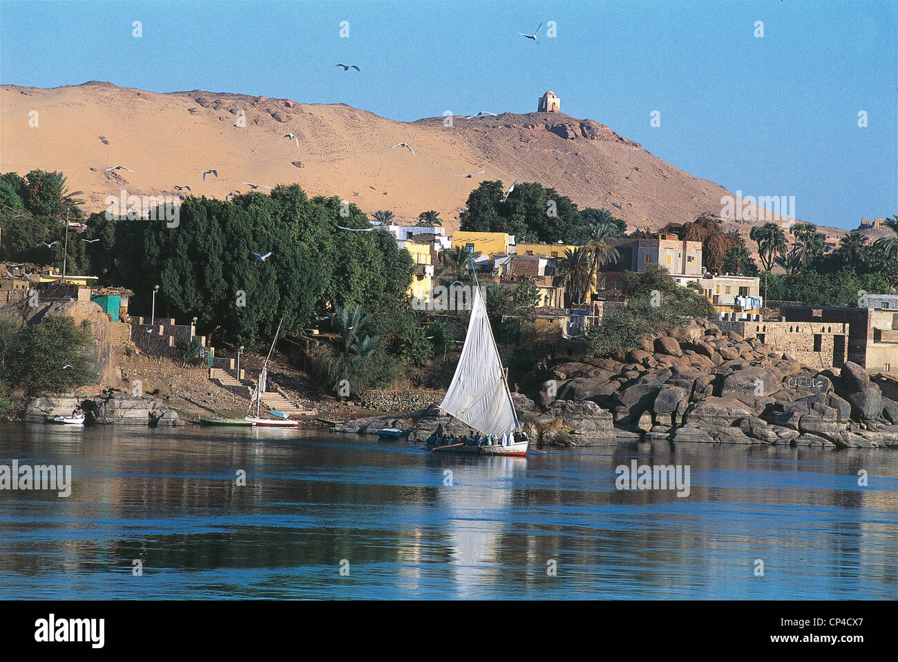 Egypt, Elephantine Island. FELUCA NILE Stock Photo - Alamy