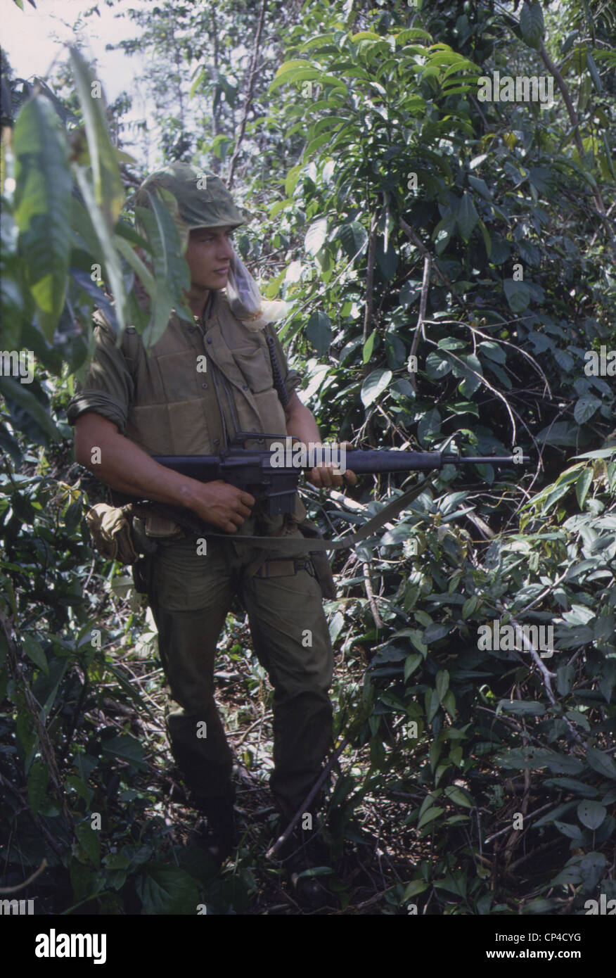 Vietnam War. US Marine moves through heavy grass in a deserted rice ...