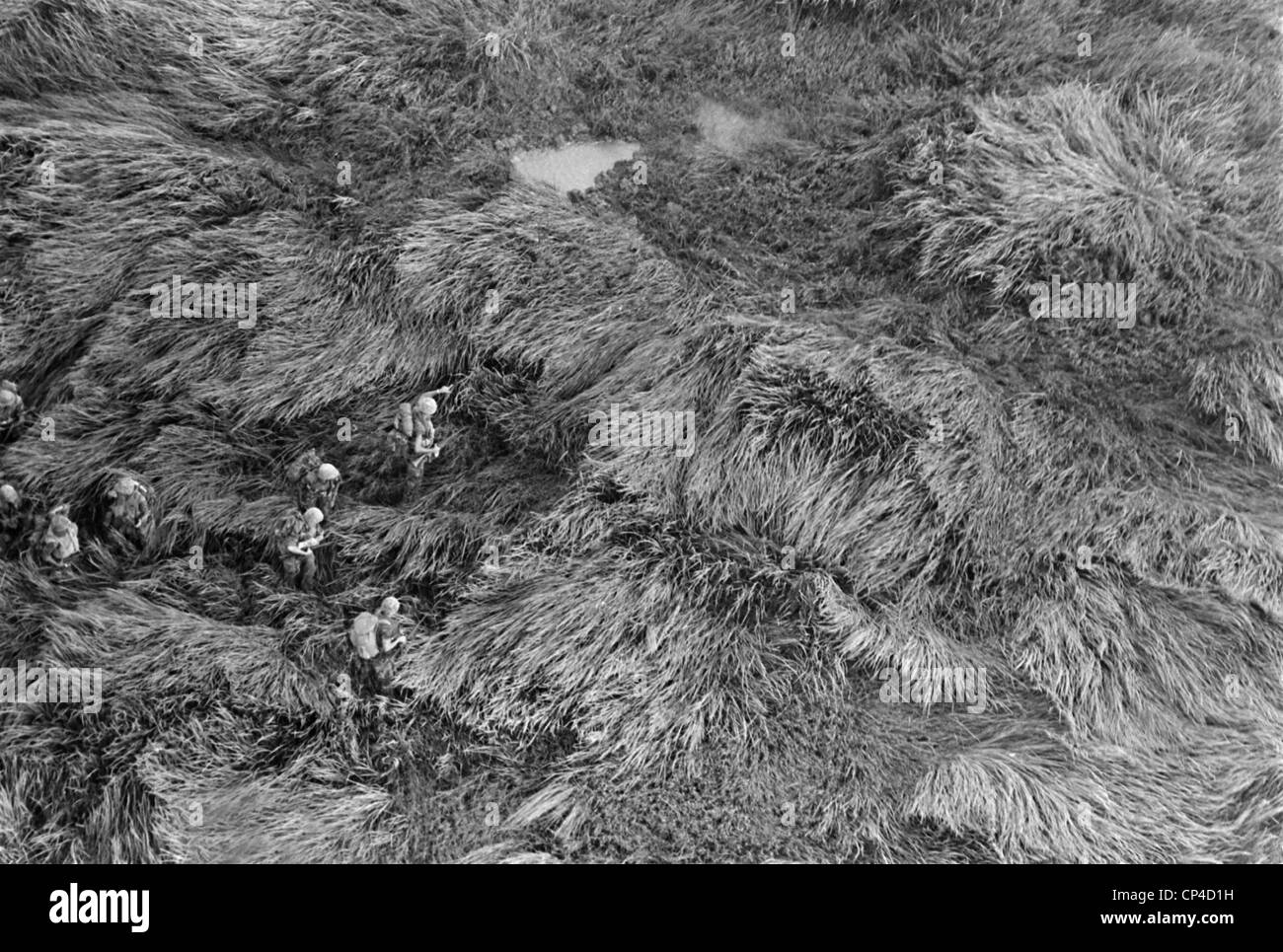 Vietnam War. Aerial view of US Marines advancing through five-foot-high ...