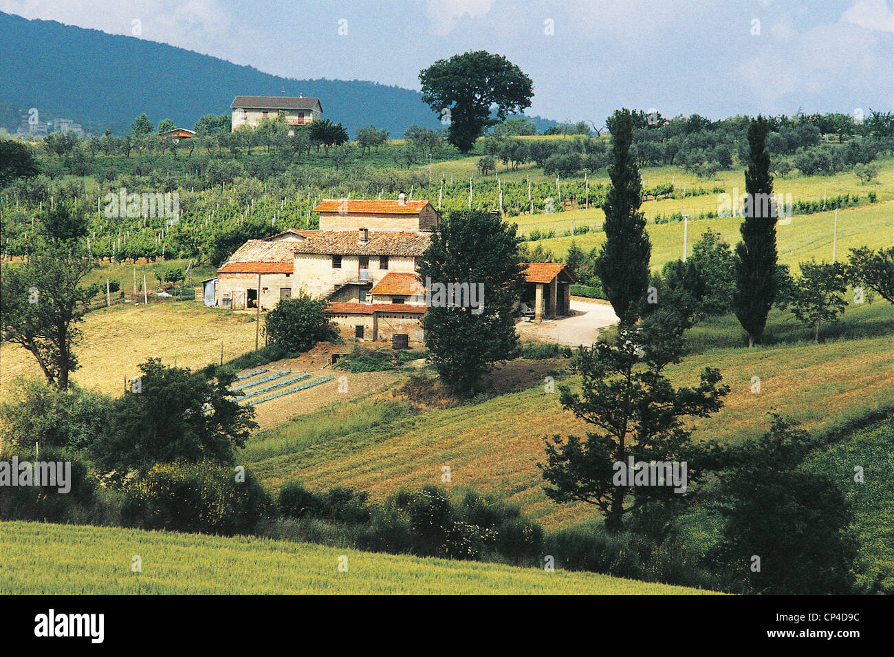 UMBRIA LANDSCAPE between Montefalco and Todi Stock Photo - Alamy