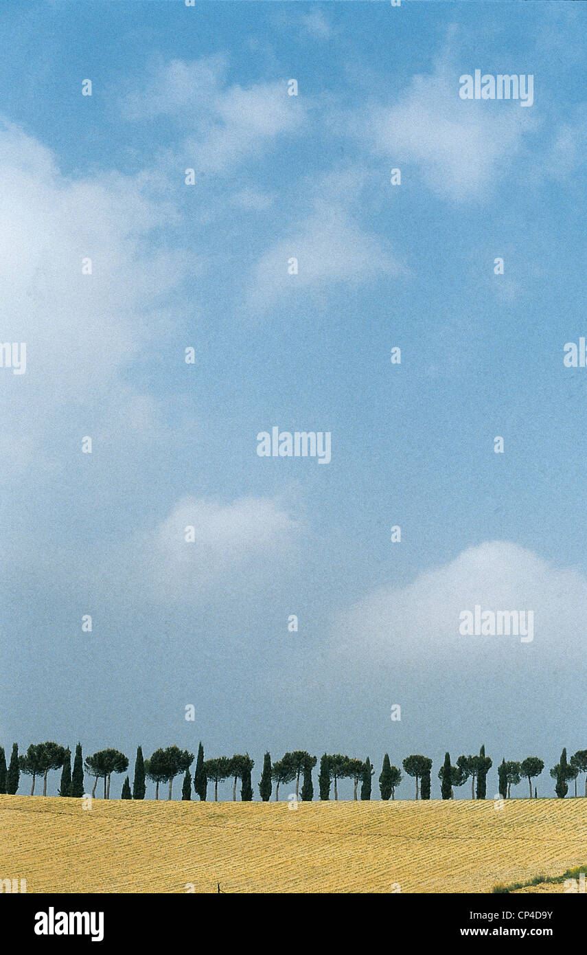 UMBRIA LANDSCAPE BETWEEN TOWER AND GENTILE Todi (PG Stock Photo - Alamy