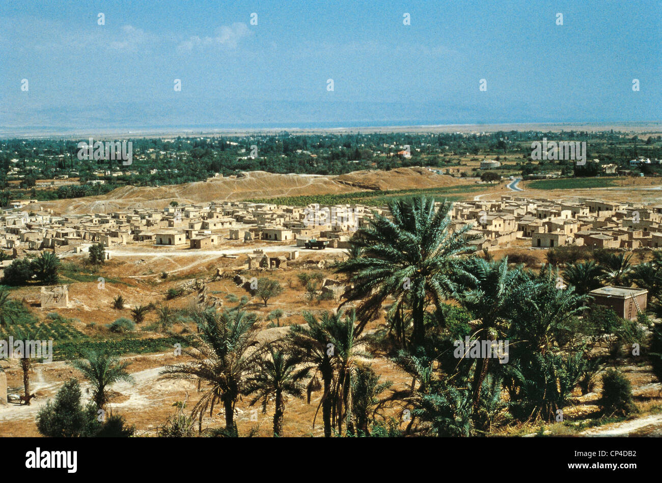 West Bank - The oasis of Jericho Stock Photo - Alamy