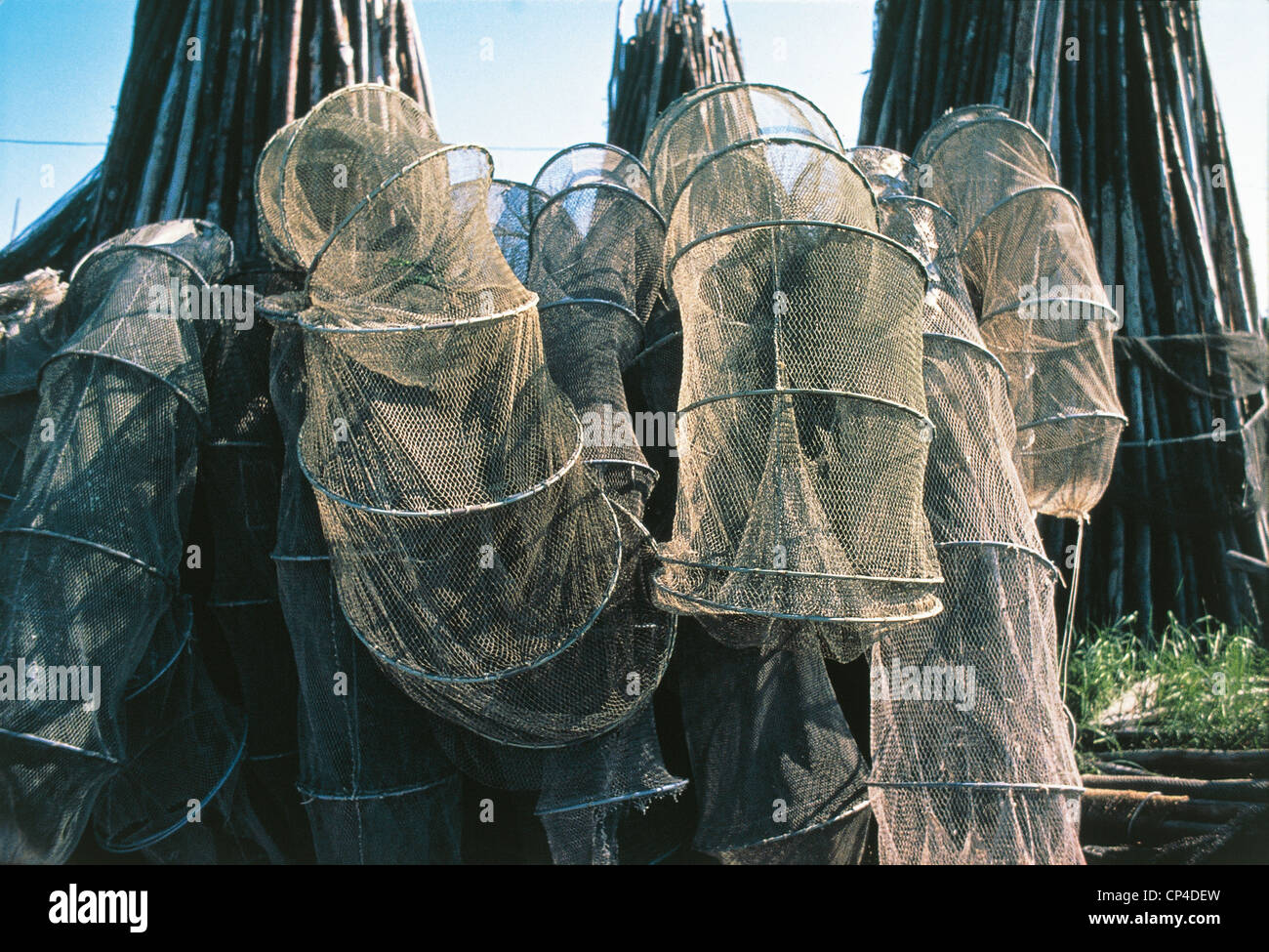 Gorino hi-res stock photography and images - Alamy