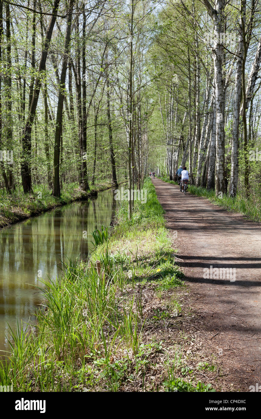 Canal and path near Leipe, Spreewald, Brandenburg, Germany Stock Photo ...