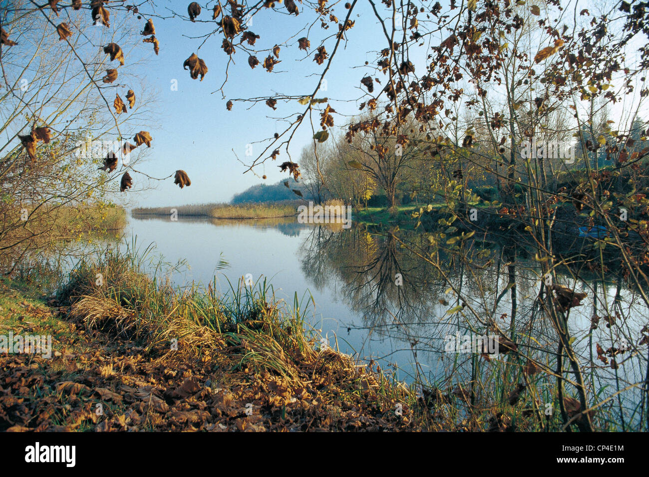 Lombardia - Bardello (Va). Bardello River Stock Photo - Alamy