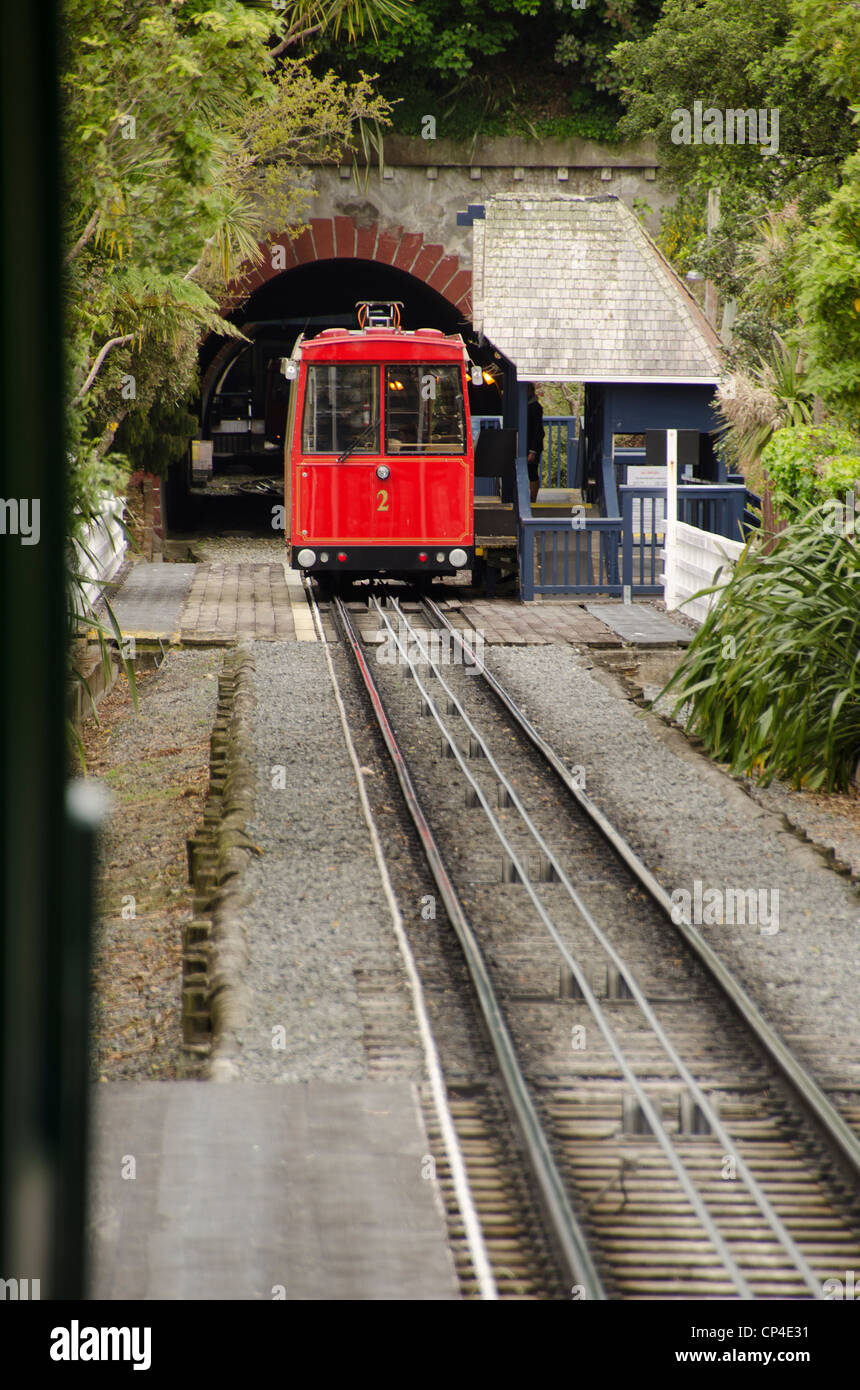 Wellington, North Island, New Zealand Stock Photo - Alamy