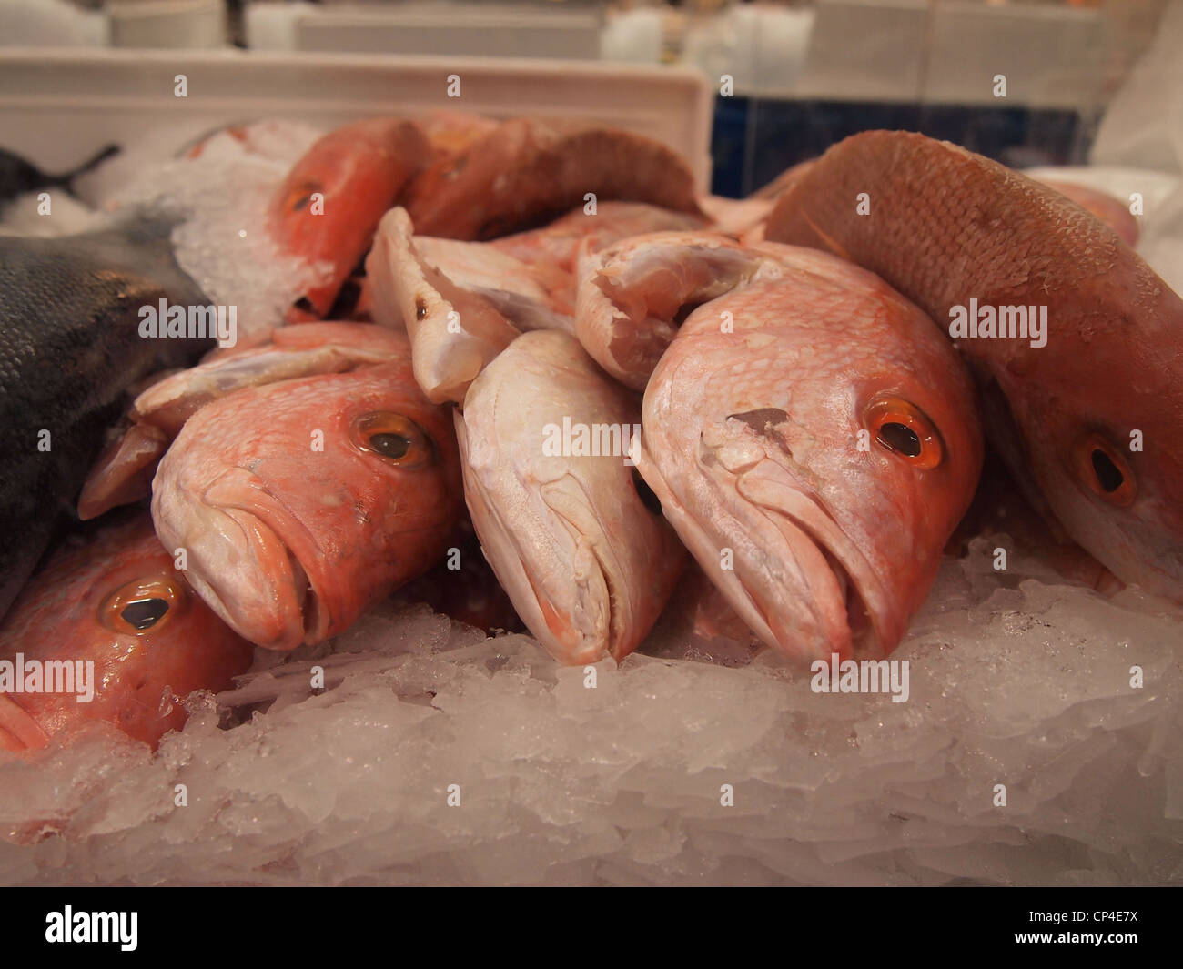 Red Snapperfor sale at Costco Wholesale, a USA big box chain store ...