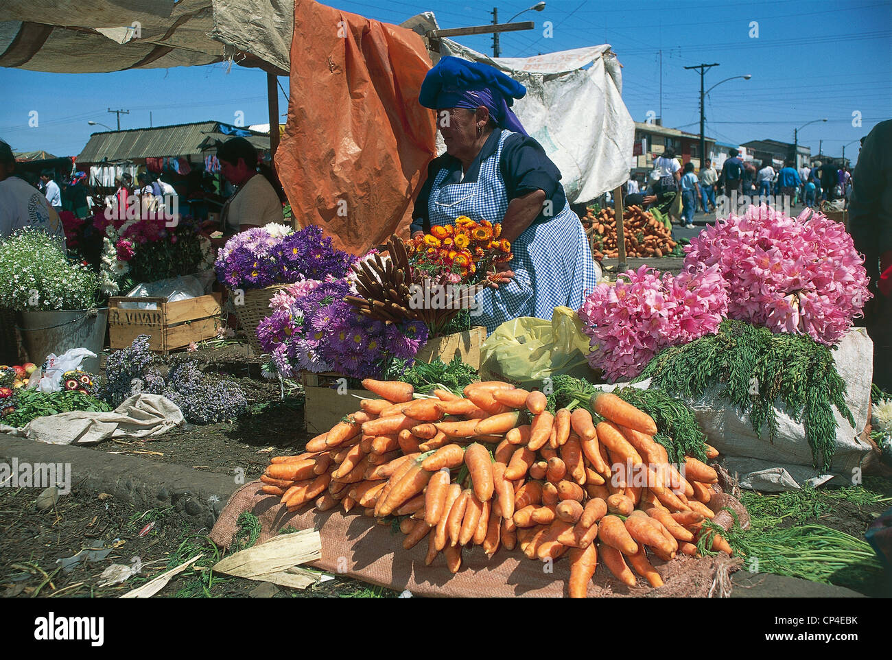 Chile Mapuche Population High Resolution Stock Photography and Images ...