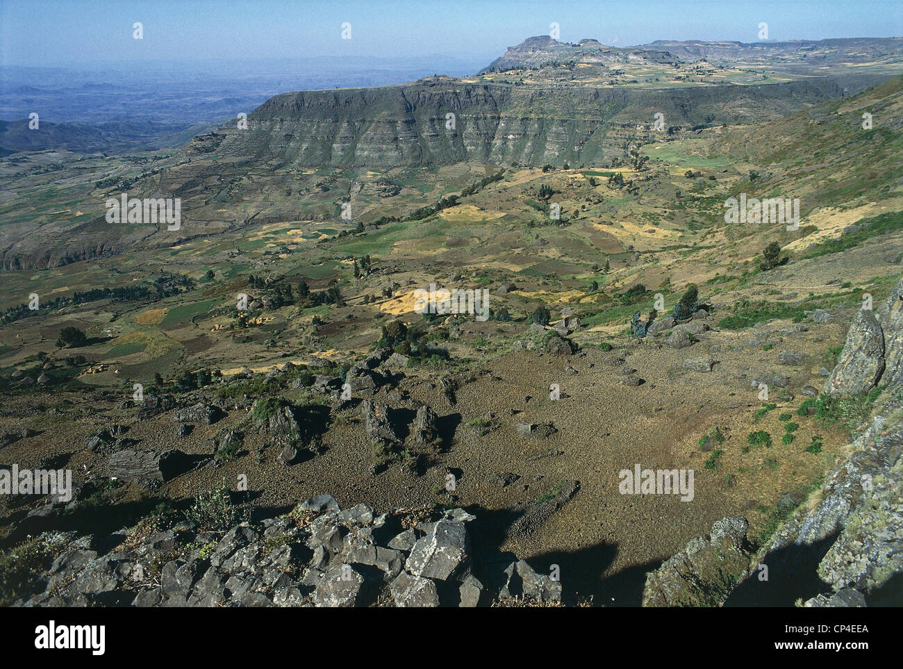 Weldiya hi-res stock photography and images - Alamy