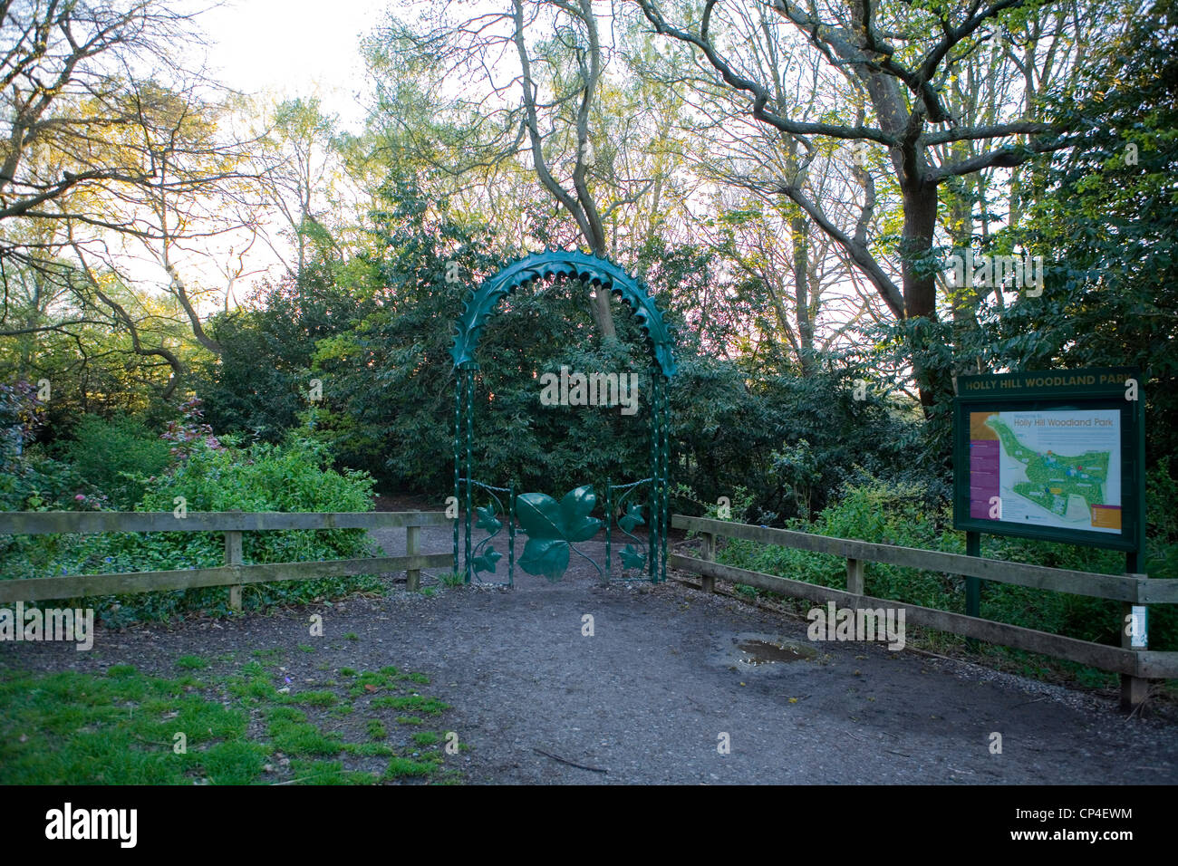 Holly hill woodland park in Locks Heath Hampshire Stock Photo - Alamy