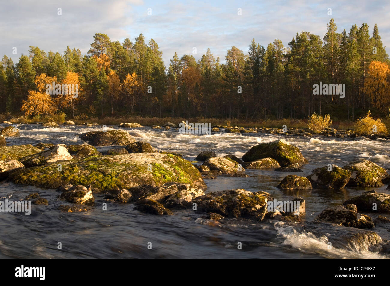 Finland - Lapland. The River Teno Stock Photo - Alamy